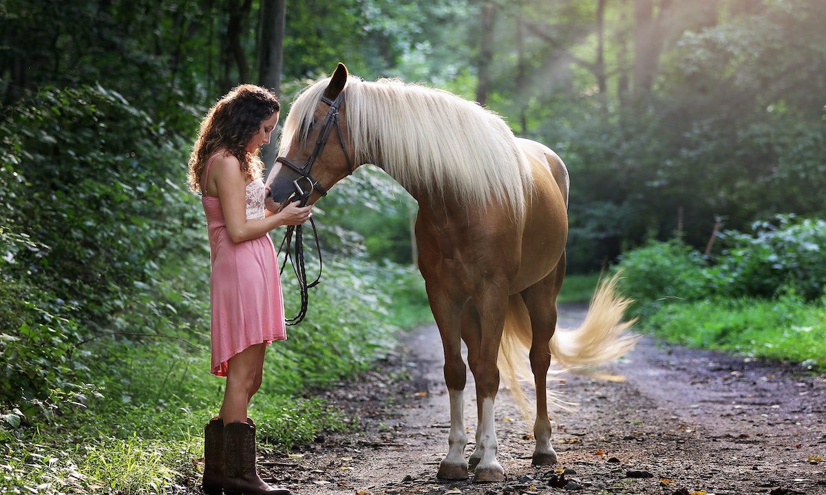 13 animales que dominan el arte de mimetismo animal de forma brutal
