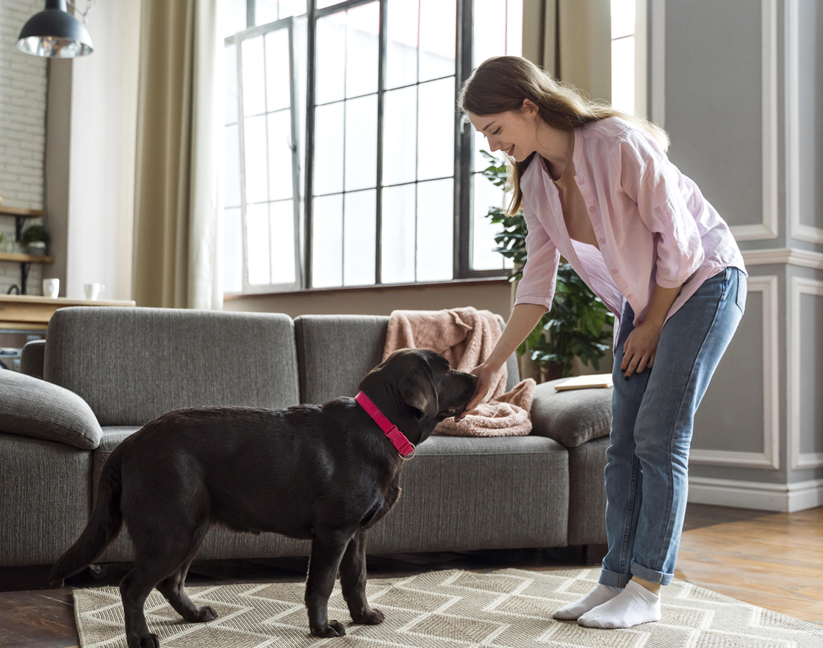 Cómo enseñar a tu perro a hacer sus necesidades en el lugar correcto